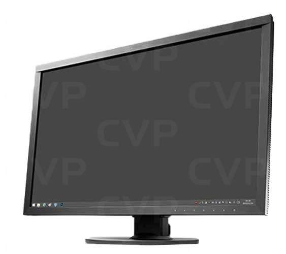 Buy - Eizo CS2420 24.1 Inch Monitor (CS2420-BK)