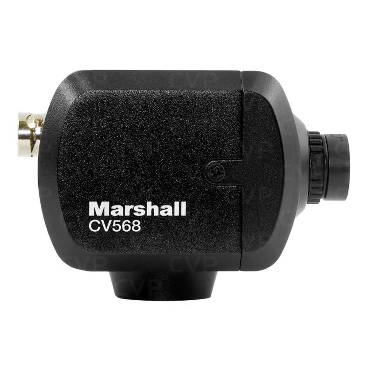 Buy - Marshall CV568 Camera (CV568)