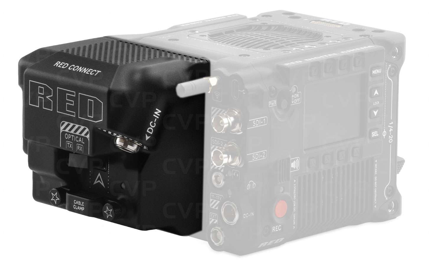 Buy - RED V-RAPTOR Connect Module Pack (790-0741)