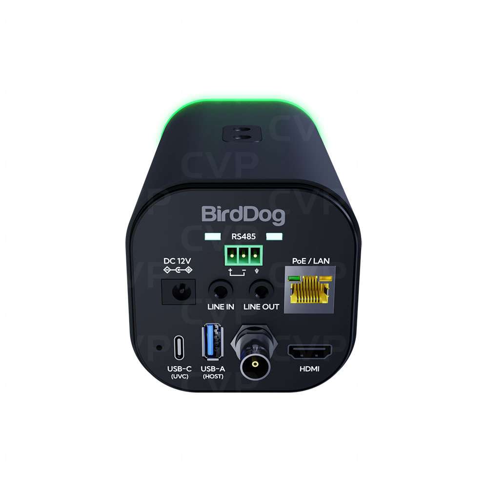 Buy - BirdDog Maki Ultra 4K 12x Camera - Black (BDPMKU12XB)