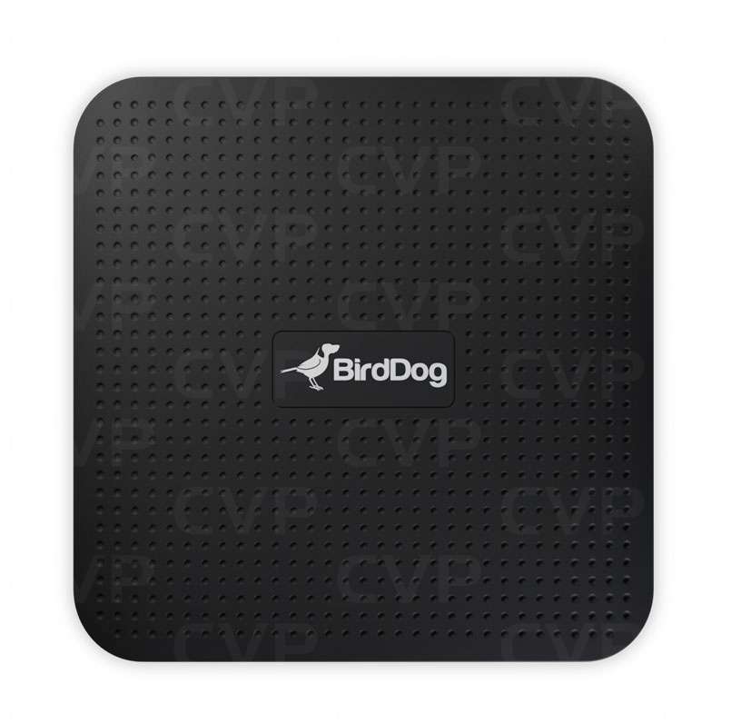 Buy - BirdDog PLAY HDMI2.0 4K NDI HX2 Decoder (BDPLAY)