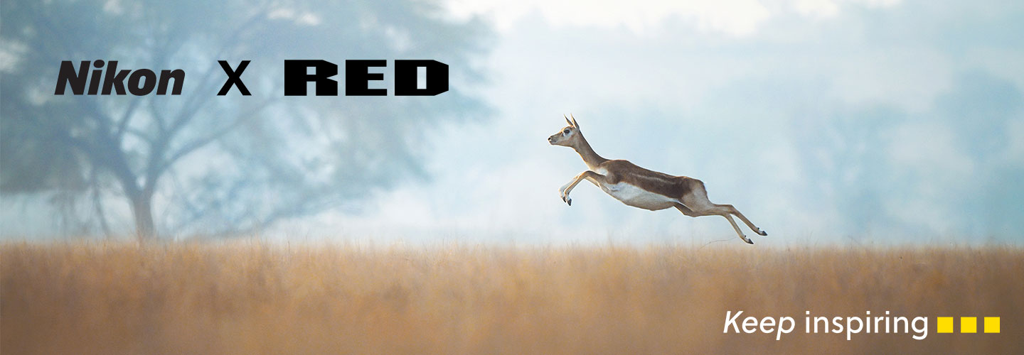 CVP.com - Nikon x RED Present: Nature in Motion, Wildlife Filmmaking ...