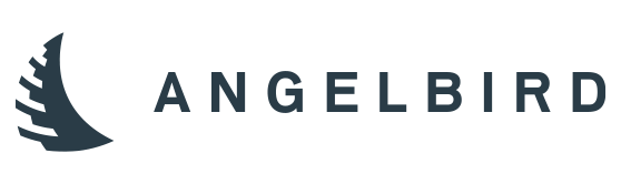 Angelbird products | CVP.com